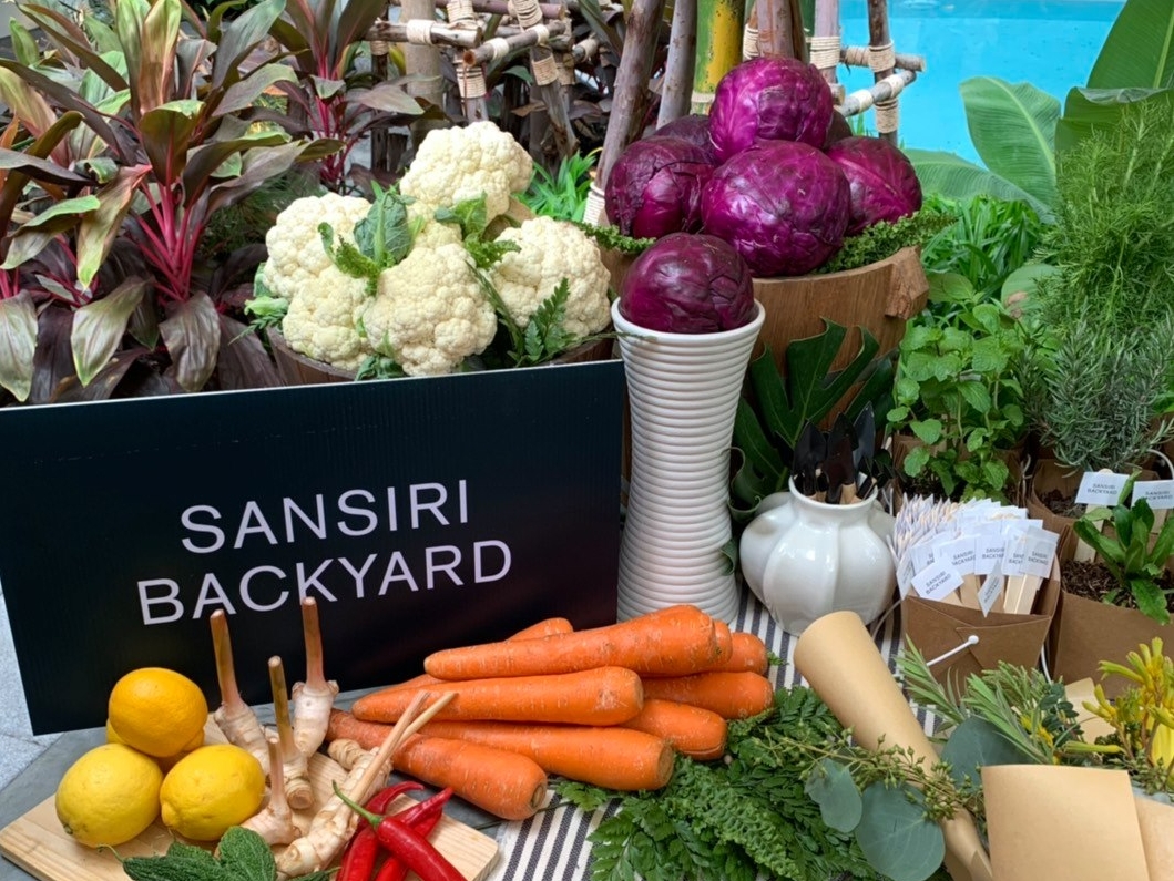 Sansiri-backyard-sansiri-blog-4 - Sansiri Blog